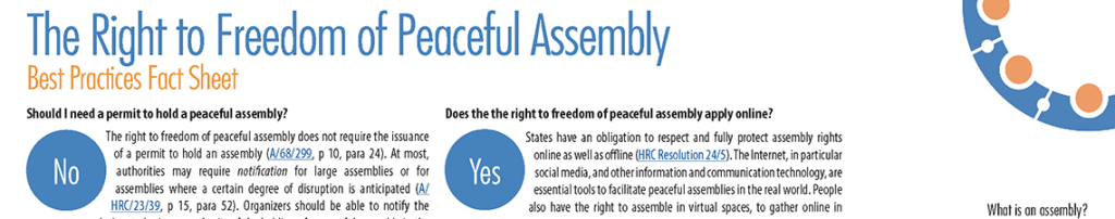 Former UN Special Rapporteur on the rights to freedom of peaceful ...